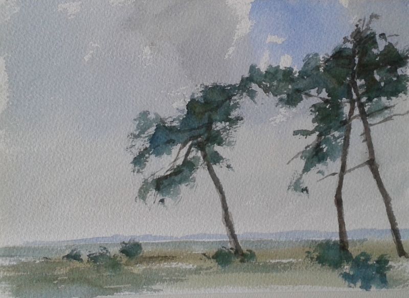 Les pins – JEAN LEFORT